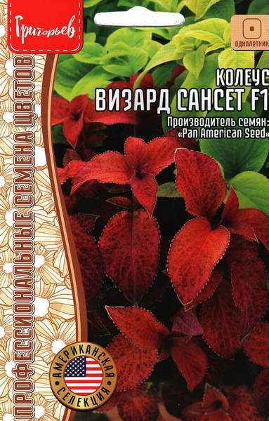 Колеусы Григорьев Колеус_красный - купить по выгодным ценам в интернет ...