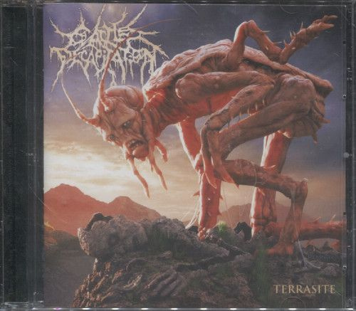 CD CATTLE DECAPITATION - TERRASITE - купить по низким ценам в интернет ...