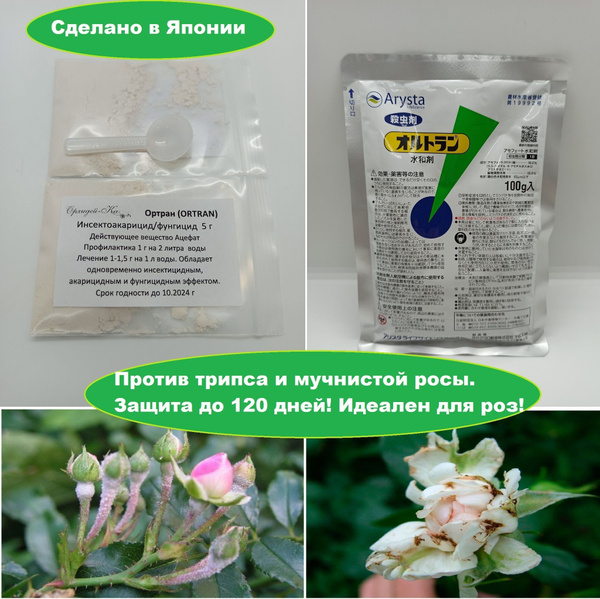 Ортран (Ortran) 5 г инсектофунгицид (ручная фасовка) - купить с ...
