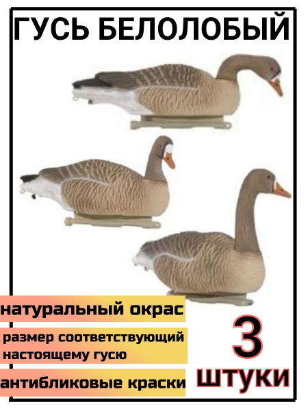 Oscar decoys Чучело - купить с доставкой по выгодным ценам в интернет ...