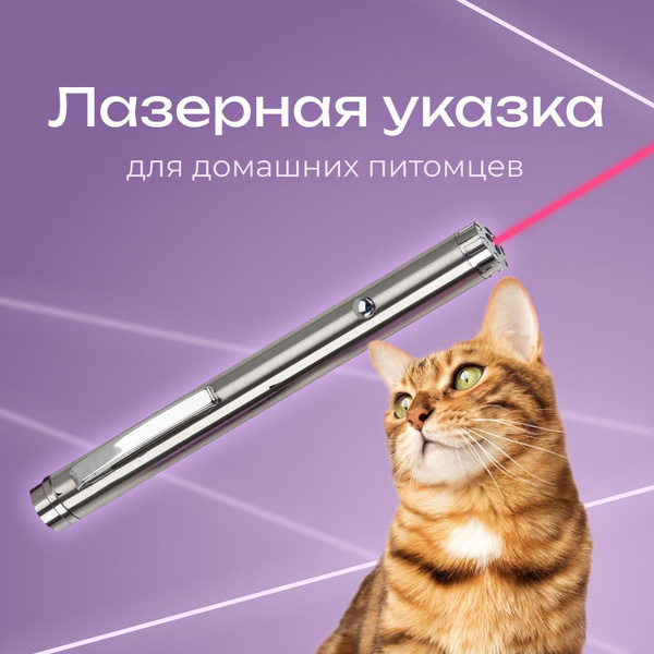 Лазерная указка - купить с доставкой по выгодным ценам в интернет ...