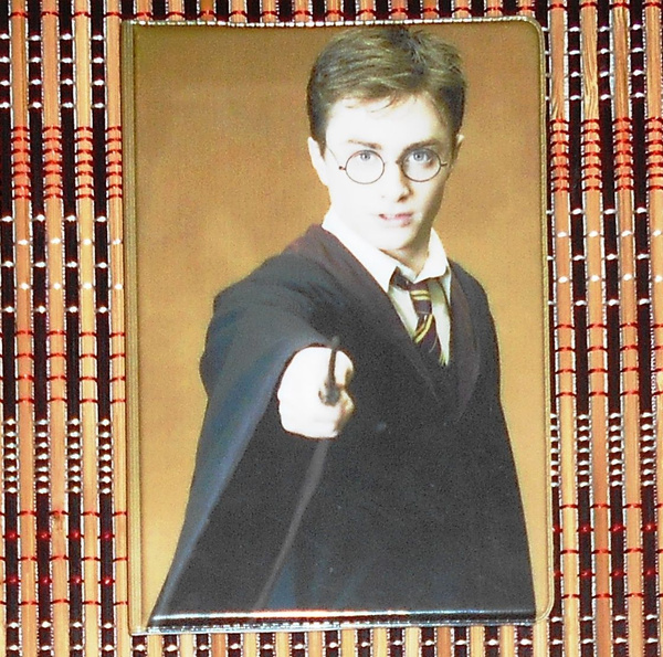 Обложка для паспорта Harry Potter / Гарри Поттер - купить с доставкой ...