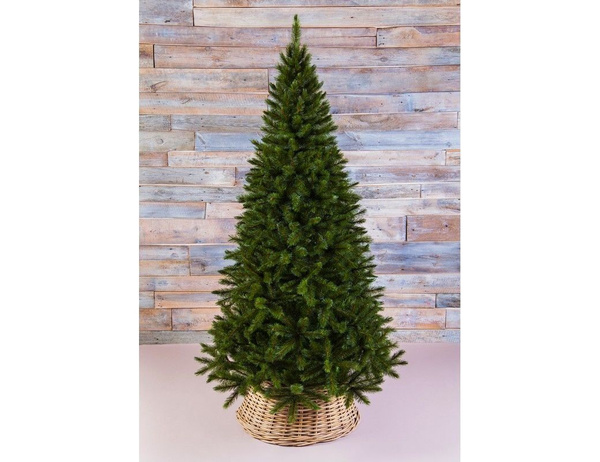 Triumph Tree Елка искусственная, Из лески, 155 см купить на OZON по ...