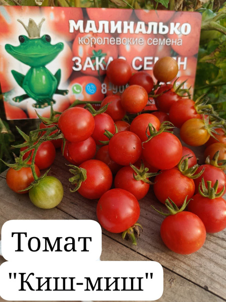 Коллекционные томаты - купить по выгодным ценам в интернет-магазине ...