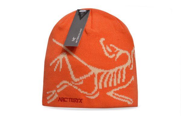 Шапка Arcteryx - купить с доставкой по выгодным ценам в интернет ...