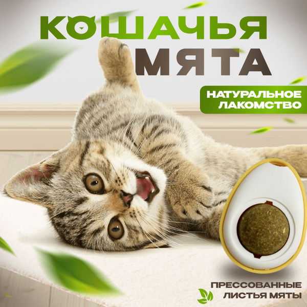 Кошачья мята/лакомство для кошек и котят/ леденец с мятой на стенку ...
