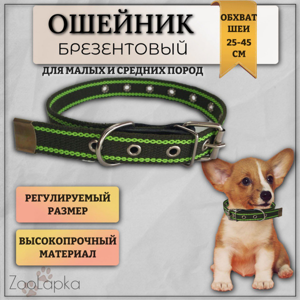 Ошейник для собак безразмерный хаки/черная застежка, для дрессировки ...