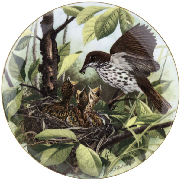 Декоративная тарелка настенная Дрозд кормит птенцов фарфор Limoges Франция винтаж 1983 год