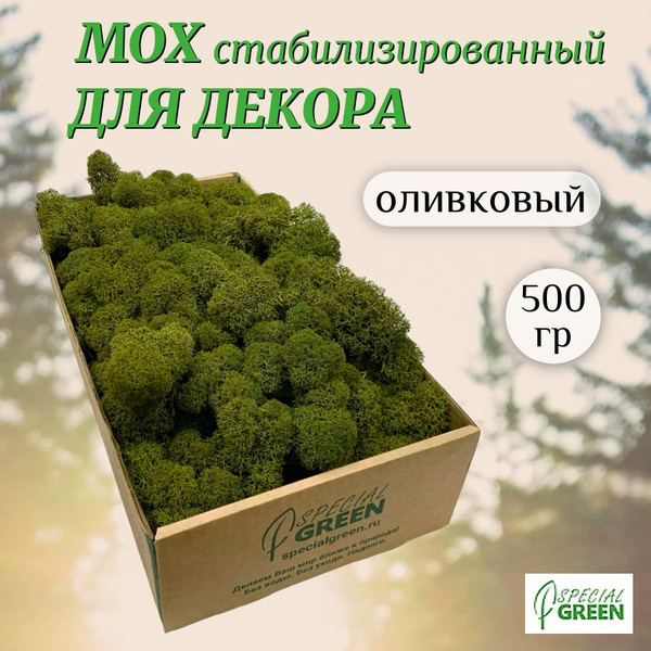 Стабилизированный мох SPECIALGREEN Мох, 500 гр, 1 шт купить по выгодной ...