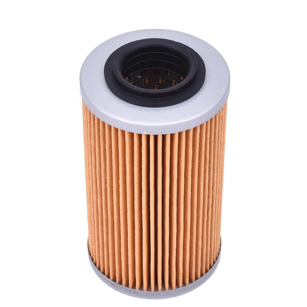 Масляный фильтр RiderLab для BRP Spyder 420956745 420956747 Aprilia ...