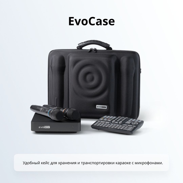 Караоке-система для дома EVOBOX Plus Black c микрофонами SE 201D в EvoCase. - купить с доставкой ...