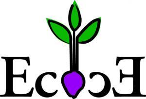 Ecoce — купить товары Ecoce в интернет-магазине OZON