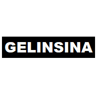 GELINSINA — купить товары GELINSINA в интернет-магазине OZON