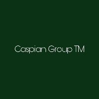 Caspian Group TM — купить товары Caspian Group TM в интернет-магазине OZON