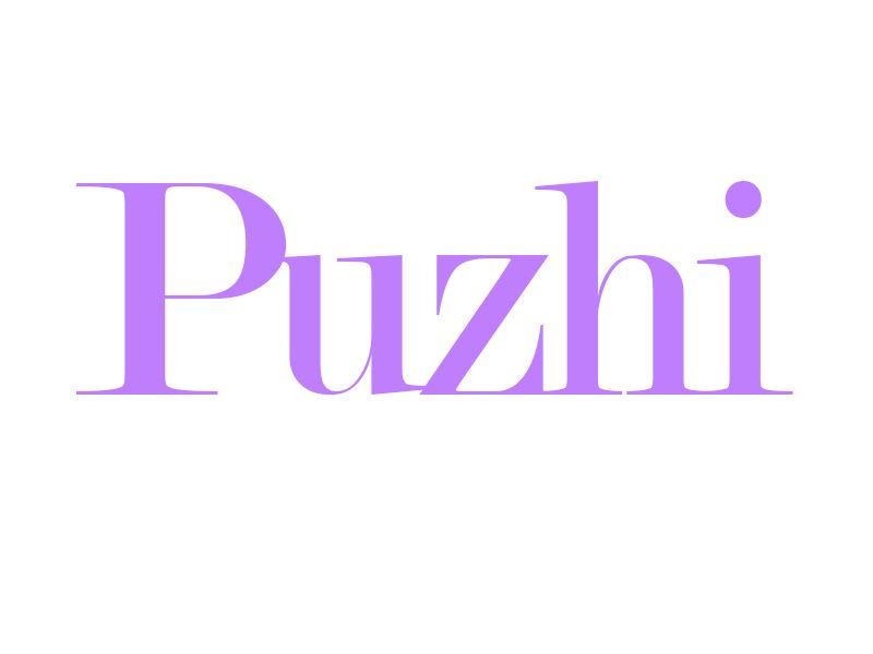 Puzhi — купить товары Puzhi в интернет-магазине OZON
