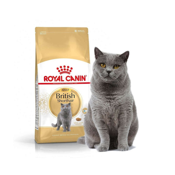 Корм для британских кошек Сухой Royal Canin British Shorthair Adult, с ...