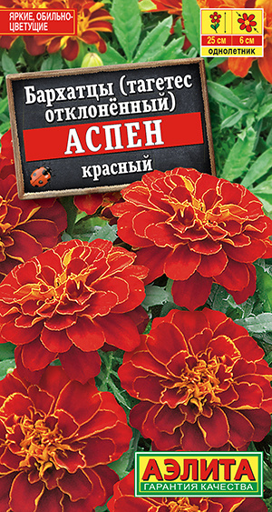 Бархатцы Аэлита Цветы_1_Бархатцы Аспен - купить по выгодным ценам в ...