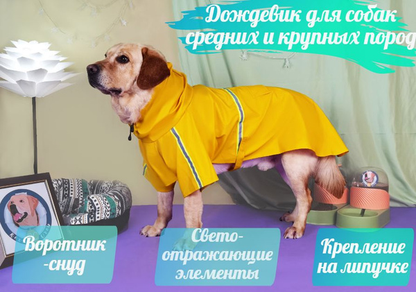 Дождевик Rexy crew со светоотражающими лентами для собак средних и крупных пород , цвет желтый ...