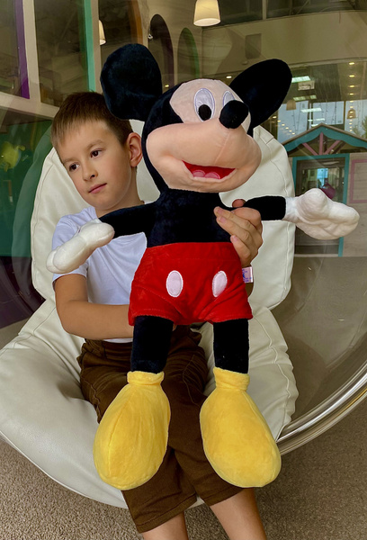 Мягкая игрушка Микки Маус/Mickey Mouse - купить с доставкой по выгодным ...