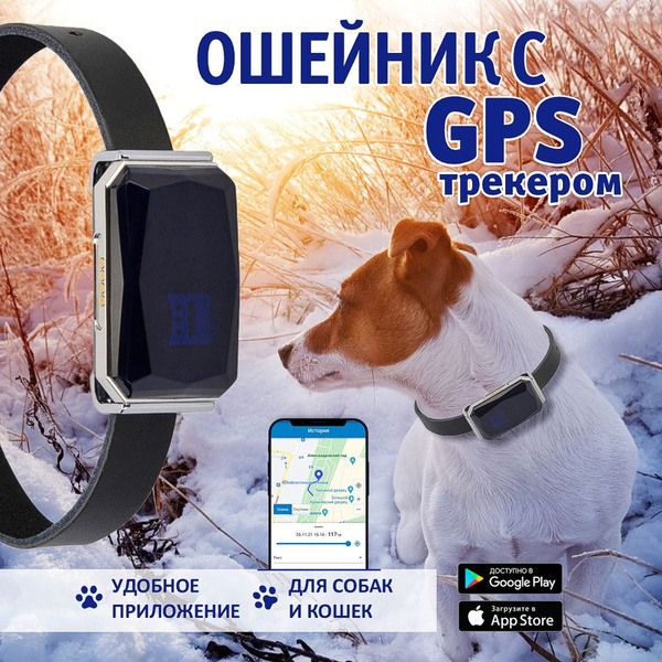 GPS-ошейник для собак - купить с доставкой по выгодным ценам в интернет ...