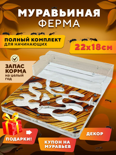 Муравьиная ферма Стандарт. Полный комплект (Декор + Корм в подарок ...