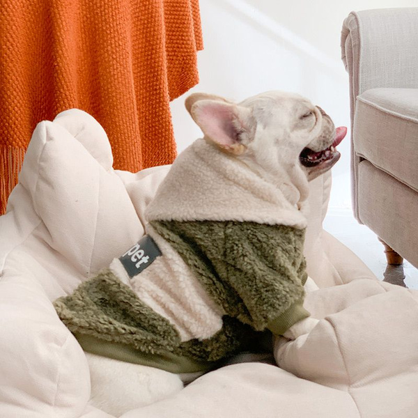 Толстовка Rexy crew "Superpet" для собак пород Французский бульдог, мопс, цвет зелёно-белый ...