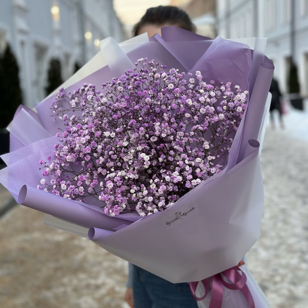 Гипсофила Букет-Мукет, цвет Фиолетовый, 5 шт купить по выгодной цене в ...