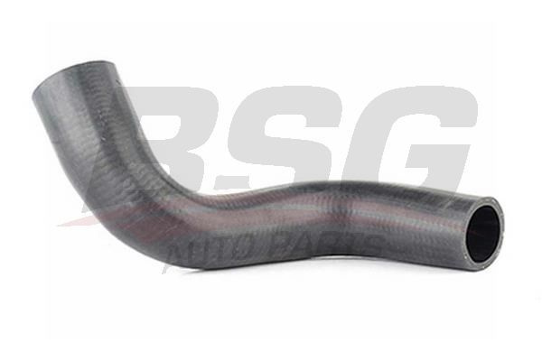 Hose line BSG BSG 16-720-015 - купить с доставкой по выгодным ценам в ...