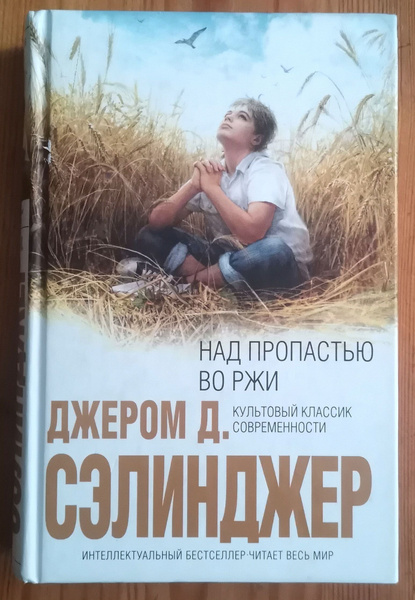 Над пропастью во ржи | Сэлинджер Джером Дэвид - купить с доставкой по ...