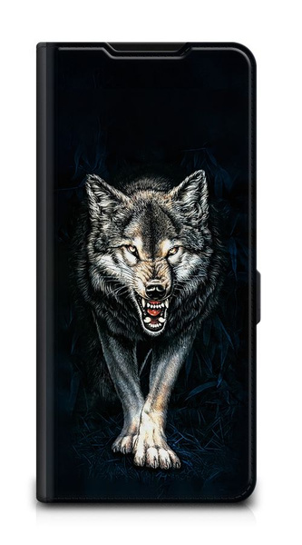 Чехол книжка на Tecno Spark Go 2024 Spark 20c Текно Спарк Го 2024 Спарк 20c с принтом