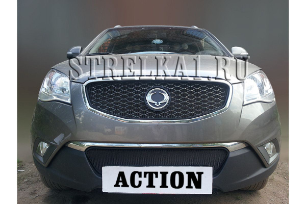 Защитная сетка радиатора низ черная SsangYong Actyon (2010-2013) C200 ...