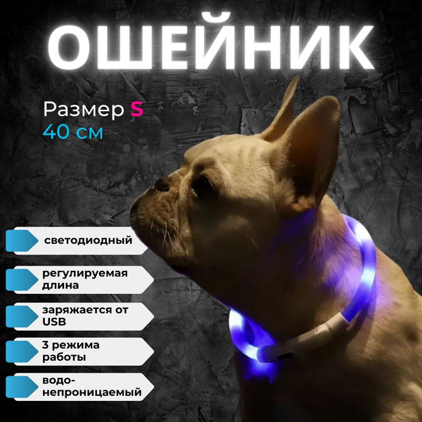 Светящийся повседневный ошейник для кошек и собак мелких и крупных ...