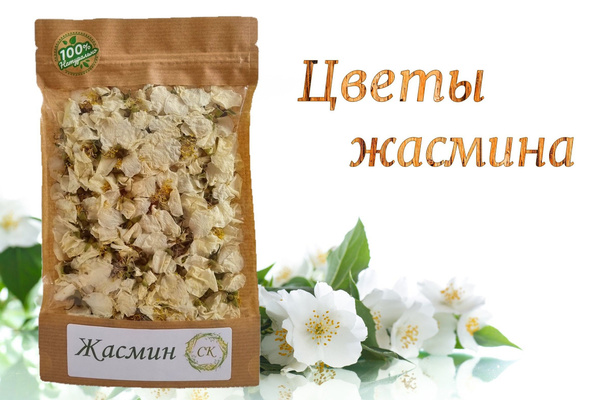 Жасмин садовый, Цветы жасмина, Чубушник - купить с доставкой по ...