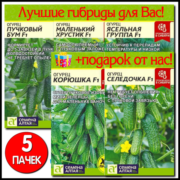 Огурцы Семена Алтая огурец_5 - купить по выгодным ценам в интернет ...