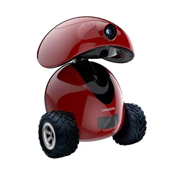 Видеоняня для животных - купить с доставкой по выгодным ценам в ...