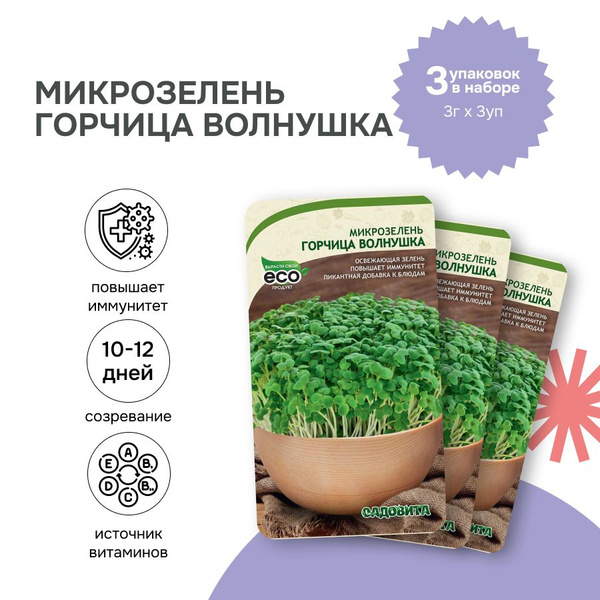 Пряные травы садовита 00207850 - купить по выгодным ценам в интернет ...