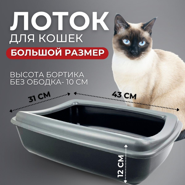 Лоток для кошек большой с ободком - купить с доставкой по выгодным ...