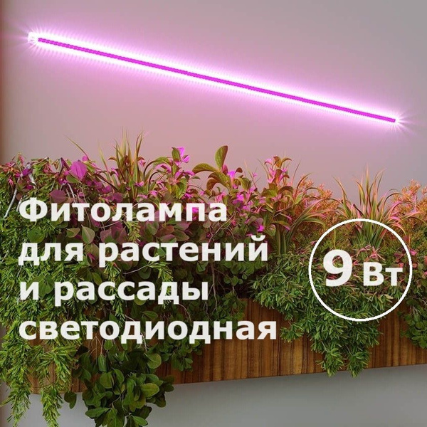 Светильник светодиодный для растений и рассады линейный, фитолампа ...
