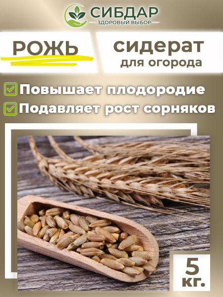 Сидераты ZOOКОРМ рожь сидерат_фураж - купить по выгодным ценам в ...