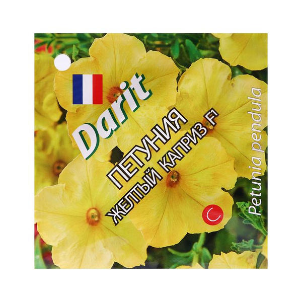 LISIK. 7721619 - купить по выгодным ценам в интернет-магазине OZON (1560148137)