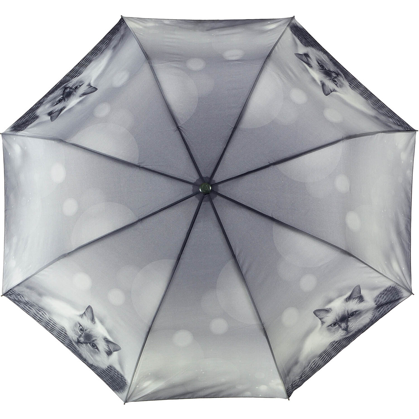 Зонт DOLPHIN umbrella — купить в интернет-магазине OZON с быстрой доставкой