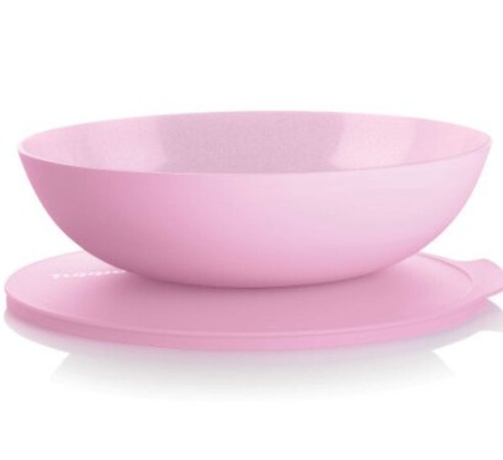 Контейнер пищевой Tupperware, 24х24х6,5, объем 1500 мл - купить по ...