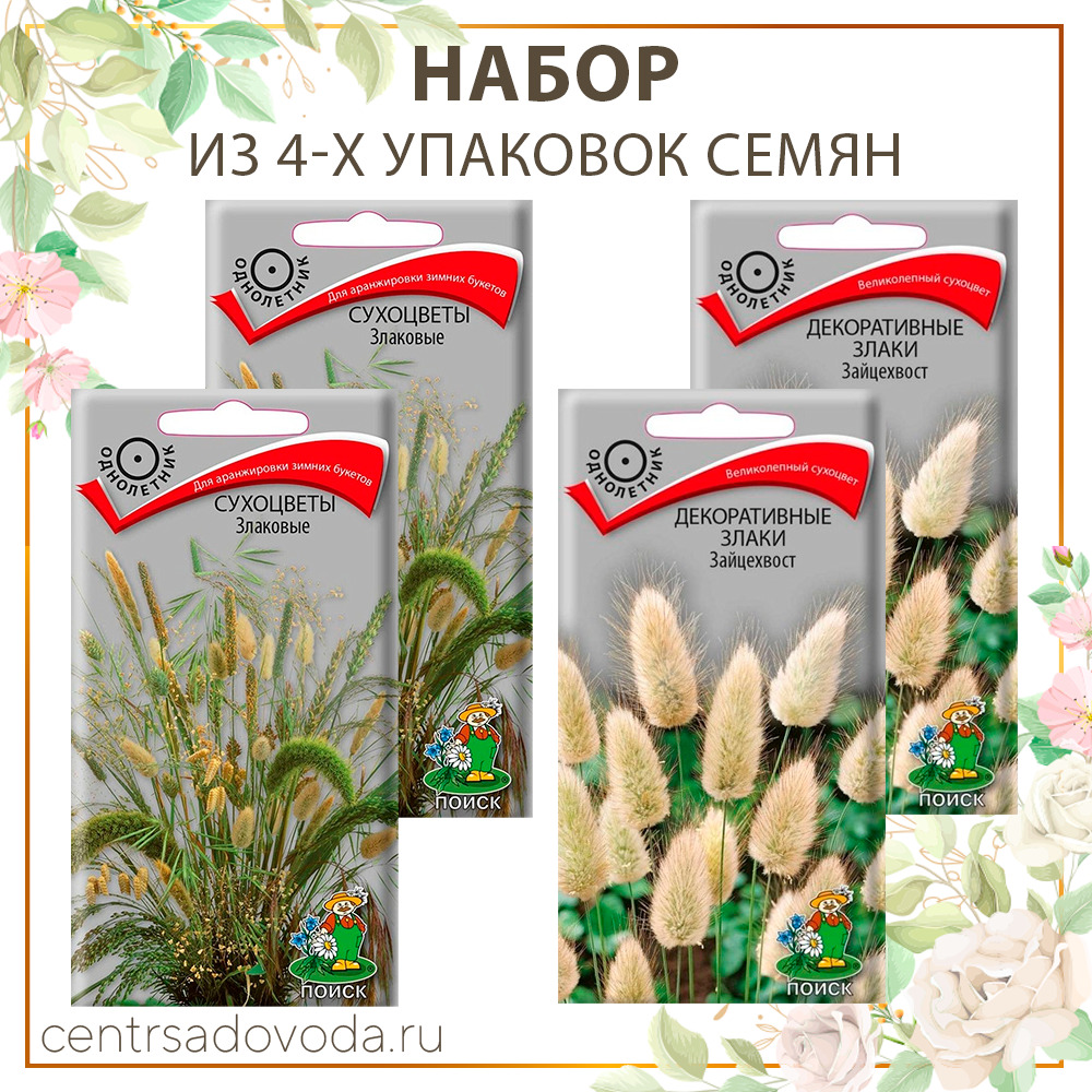 Декоративные Злаки Фото — Картинки фотографии