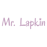 Mr.Lapkin — купить товары Mr.Lapkin в интернет-магазине OZON