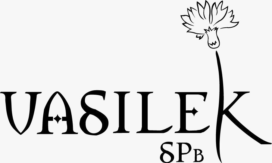 Vasilek spb — купить товары Vasilek spb в интернет-магазине OZON