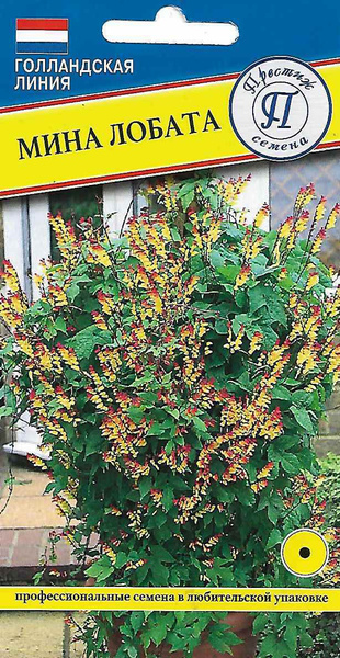 Престиж семена 333229-1 - купить по выгодным ценам в интернет-магазине ...