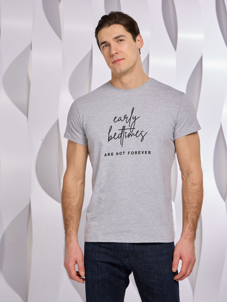 Футболка T-RONE menswear, размер 56, цвет серый, 92% хлопок, 8% лайкра ...