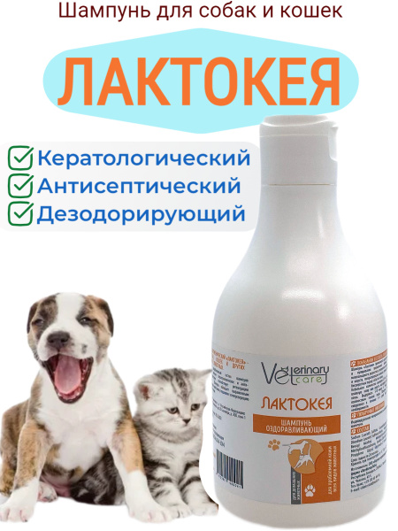 Лечебный антисептический шампунь Лактокея для собак и кошек, 240 мл ...