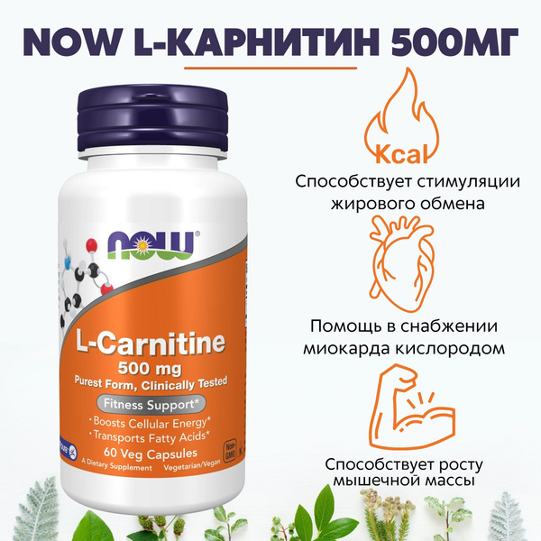 NOW L-Карнитин 500 мг 60 капс (CARNITINE 500mg 60 VCAPS) - купить с ...