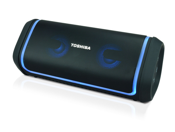 Беспроводная колонка Toshiba TY-WSP150 - купить по доступным ценам в ...